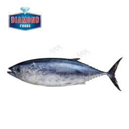 Diamond Seafoods Tuna 1kg | Fresh & Authentic